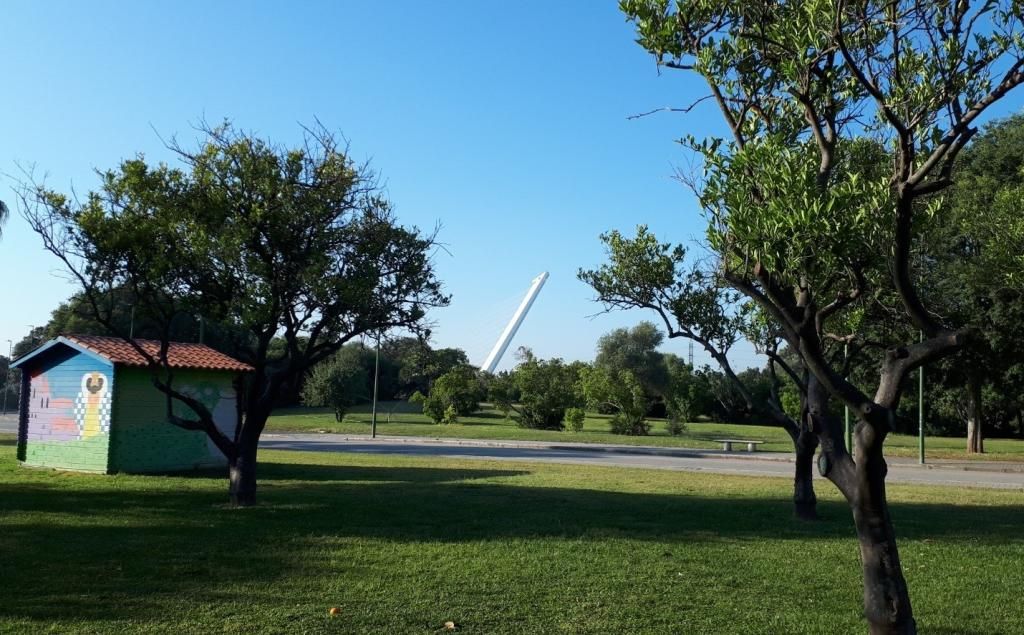 El Parque del Alamillo aumenta su horario hasta la medianoche - Estadio ...